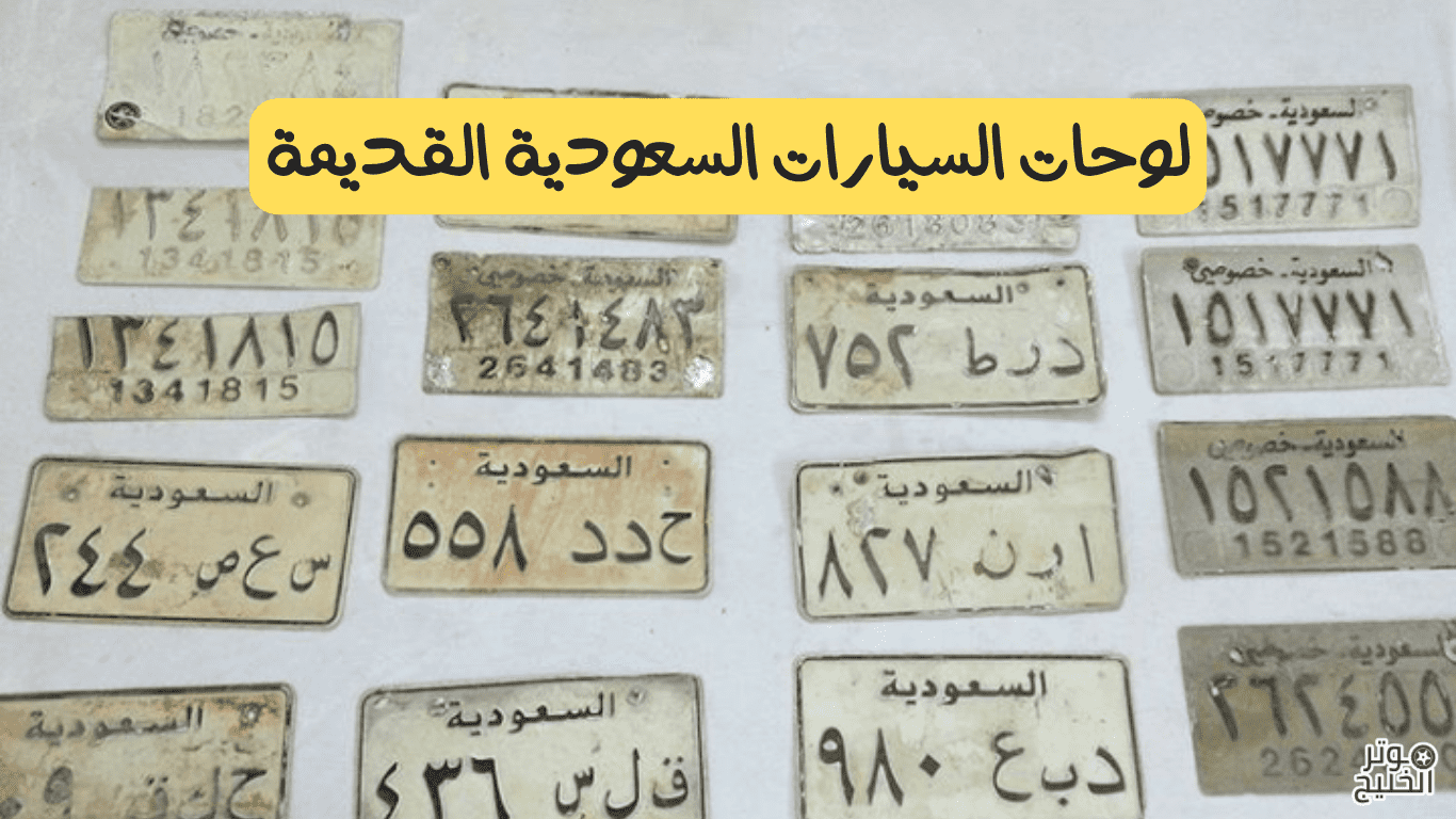 Conversational Container Prelude حروف اللوح السعودية React Roller Overhead